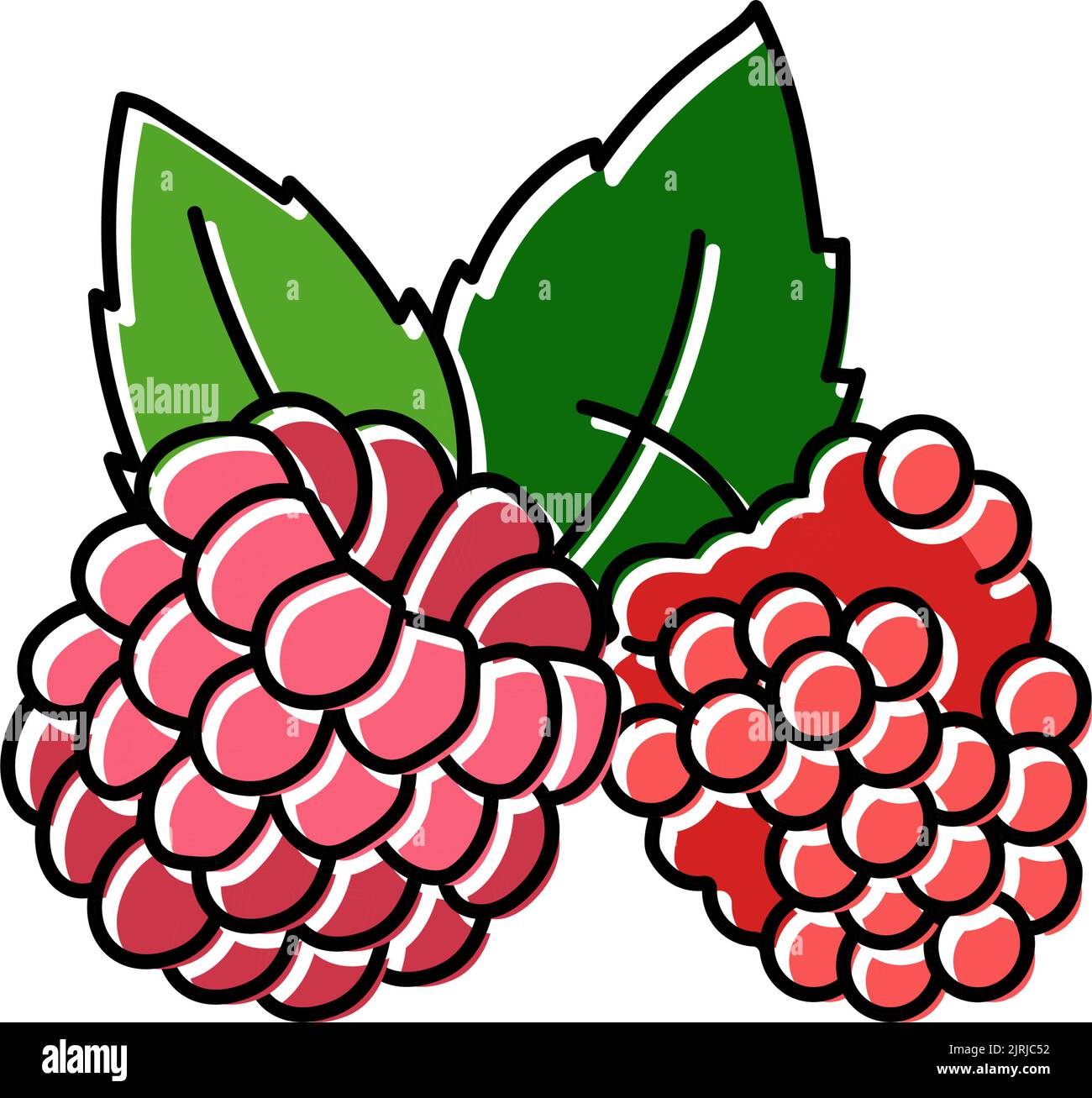 raspberry plant leaf fresh color icon vector illustration Stock Vector ...