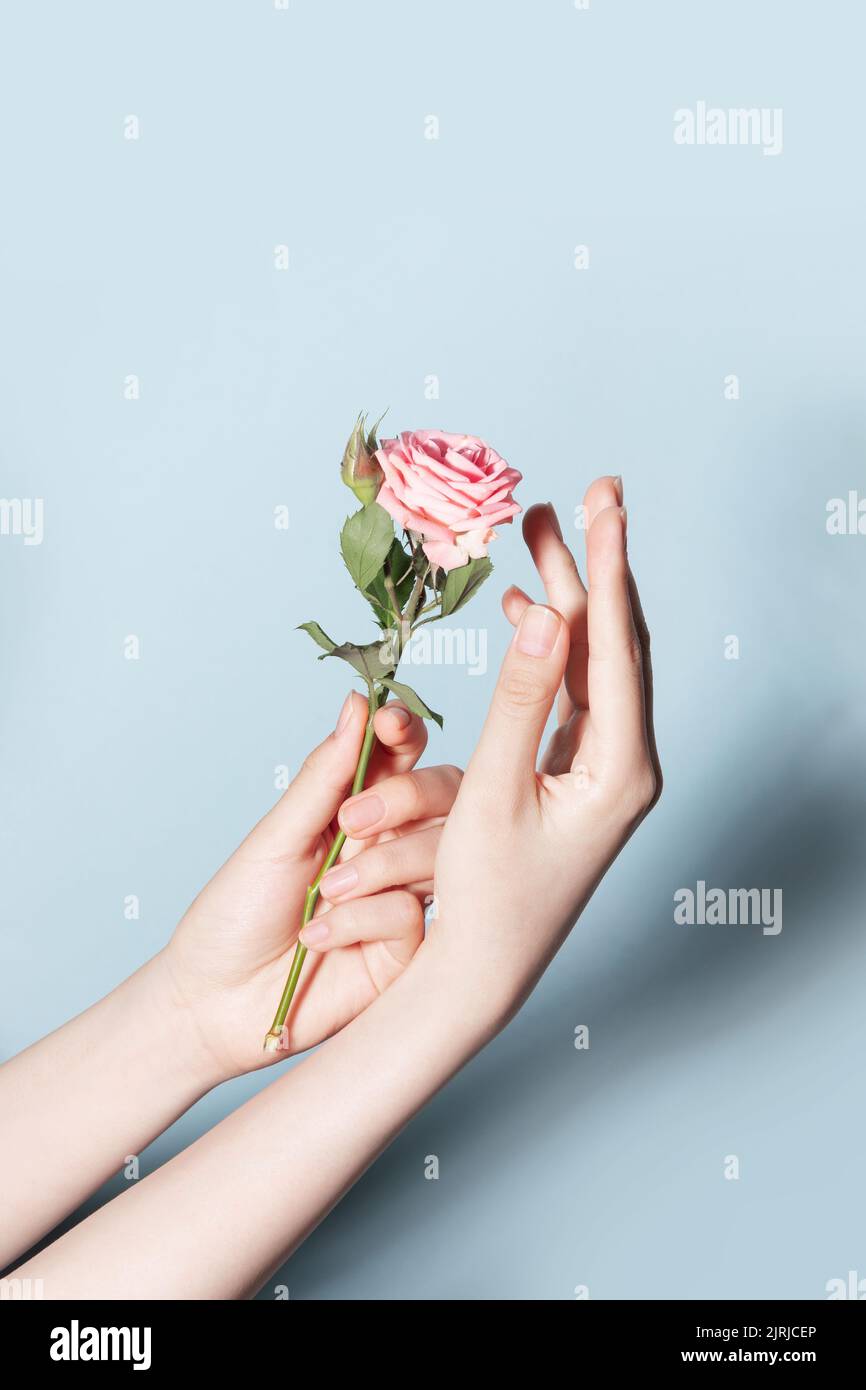 beauty hands motion series holding roses Stock Photo - Alamy