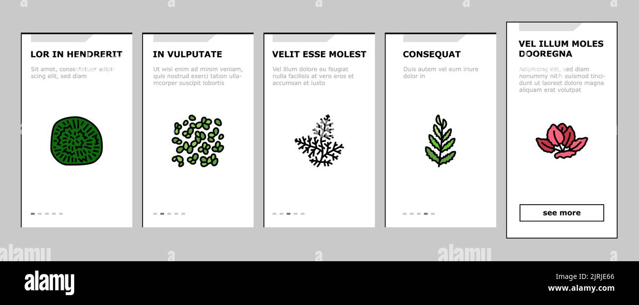 Vallisneria plant Stock Vector Images - Alamy