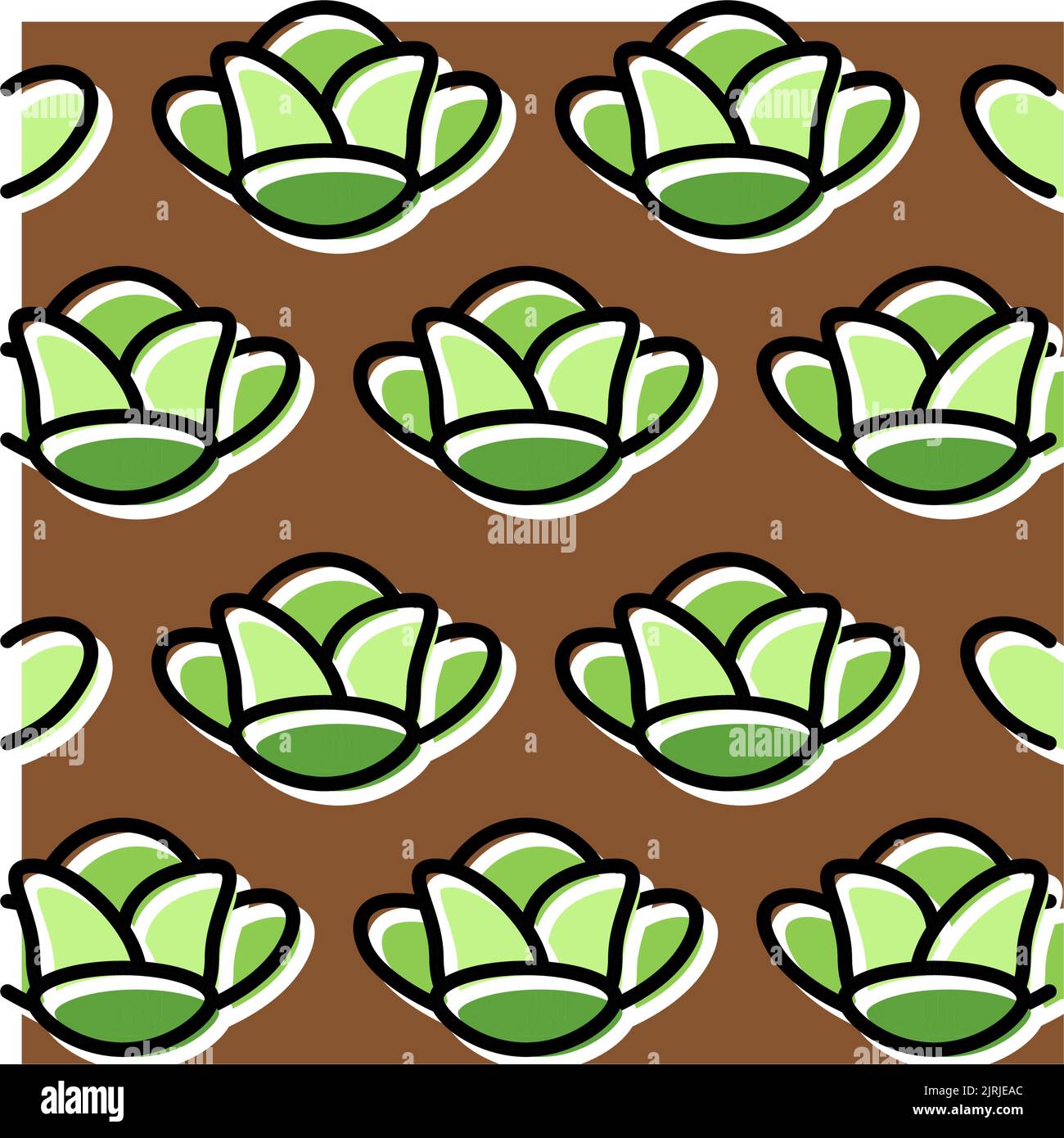 field farm with growing cabbage color icon vector illustration Stock ...