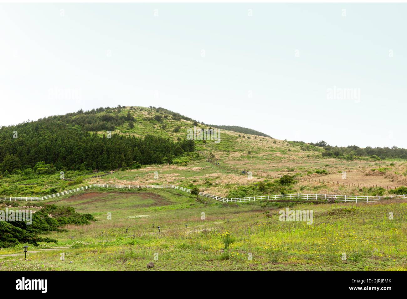 Oreum volcanic cone in Jeju island, Korea Stock Photo - Alamy