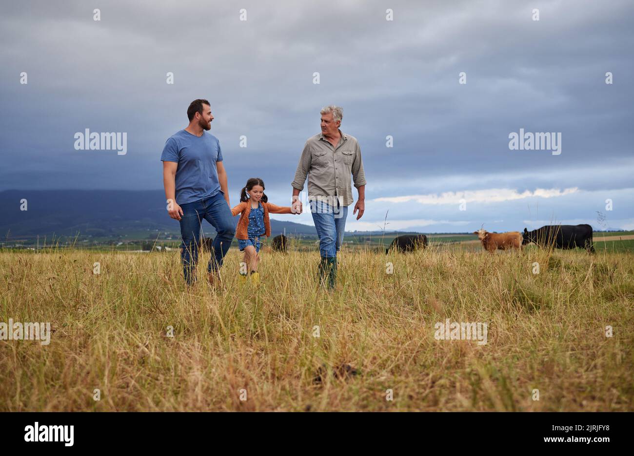 Farmer family walking on a cattle or livestock farm teaching and ...