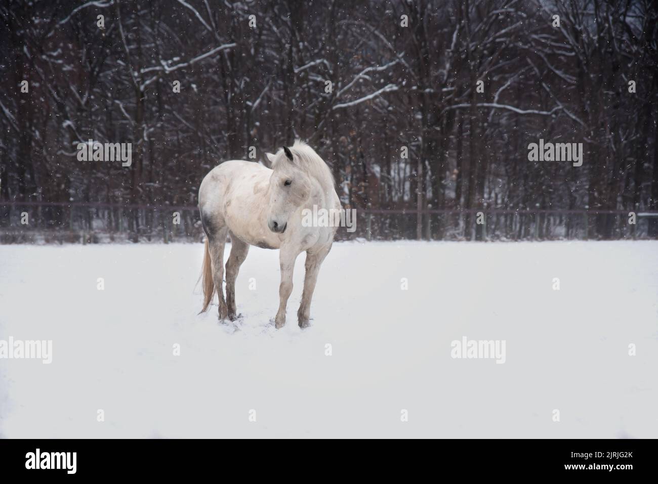 Dark patches hi-res stock photography and images - Alamy