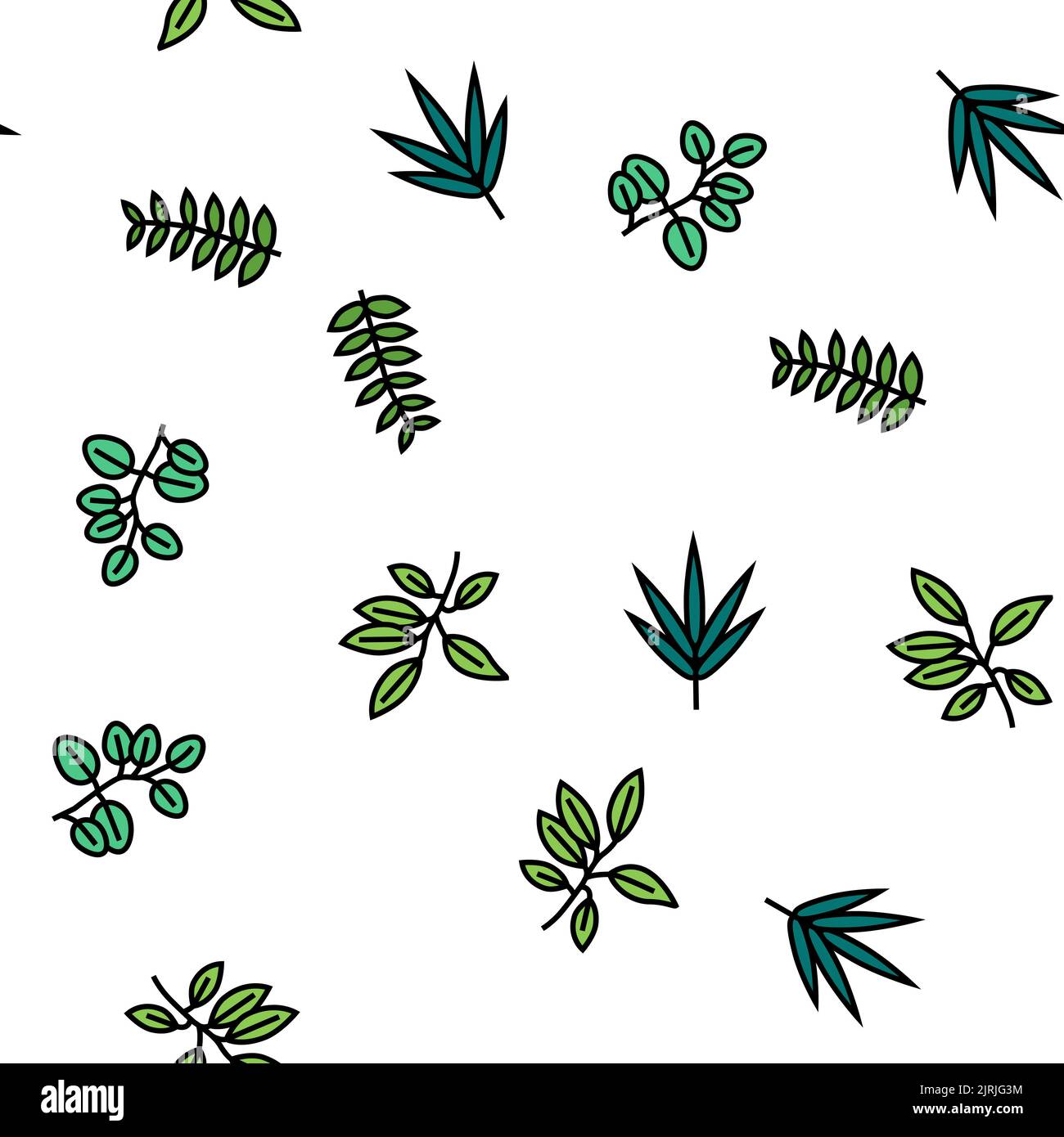 Beech maple hemlock Stock Vector Images - Alamy
