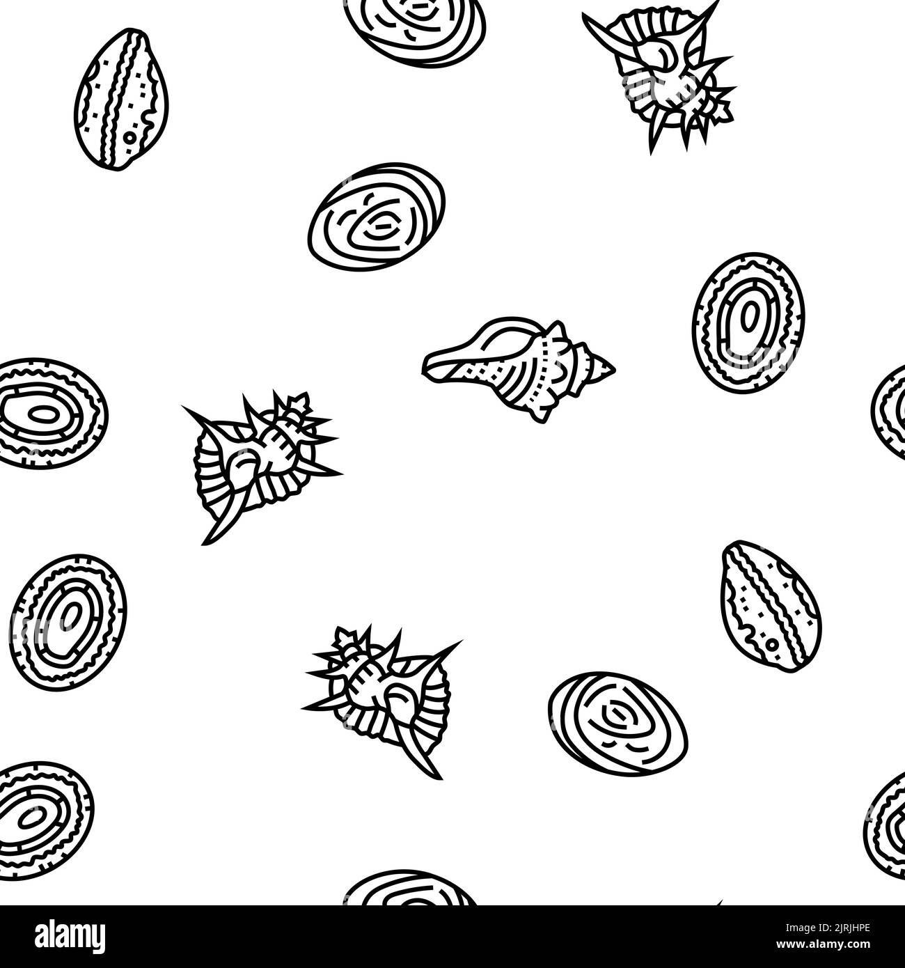 sea shell beach summer ocean vector seamless pattern Stock Vector Image ...