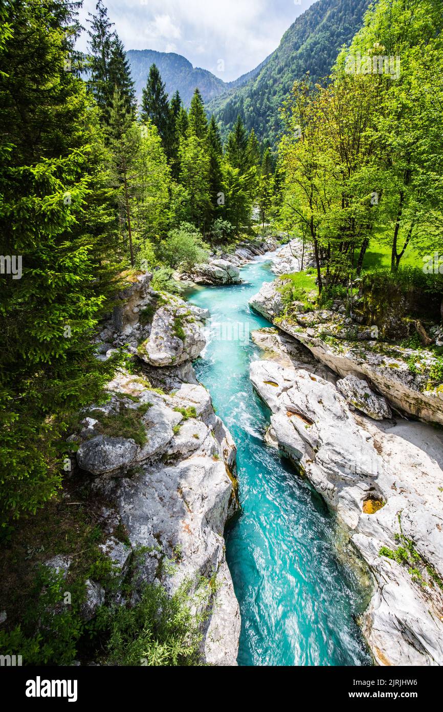 Emerald Soca River in Soca Valley, Slovenia, Europe Stock Photo - Alamy
