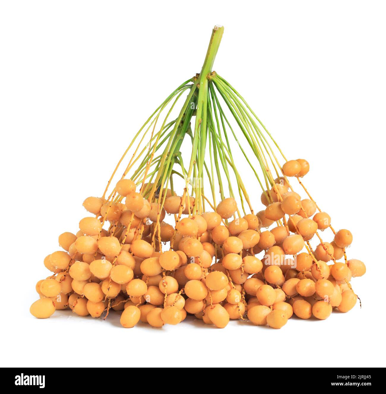 dates fruit, bunch of dates isolated on white background Stock Photo ...