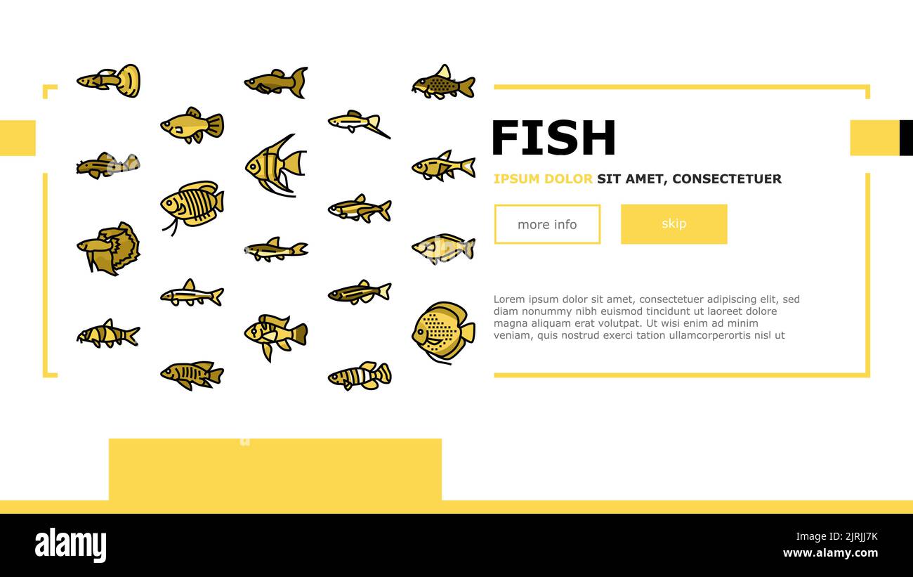 Aquarium Fish Tropical Animal landing header vector Stock Vector Image ...