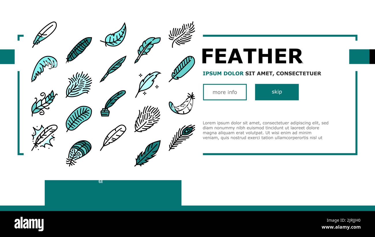 feather bird soft quil fluffy landing header vector Stock Vector Image ...