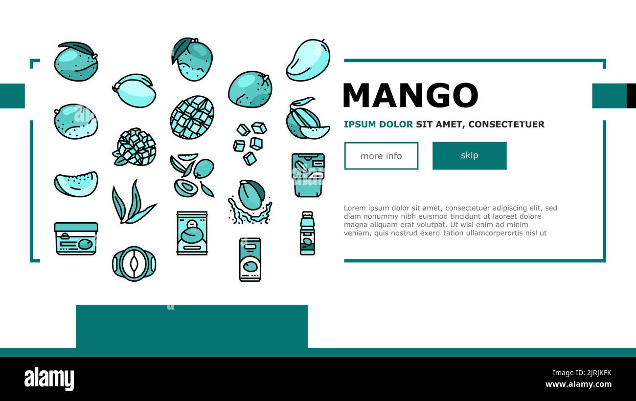 mango fruit fresh leaf yellow landing header vector Stock Vector Image ...