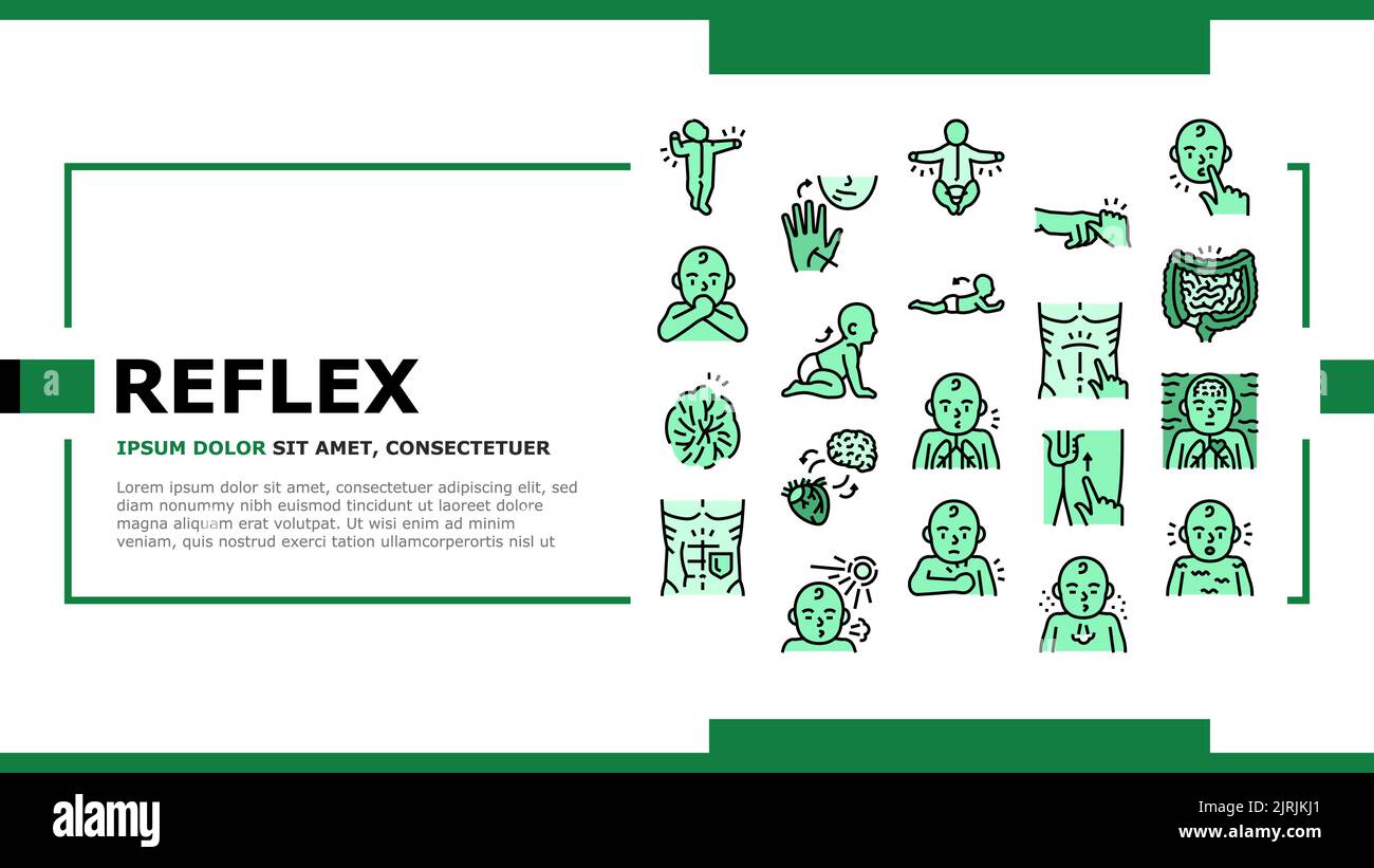 Reflex Of Human Neurology System landing header vector Stock Vector ...