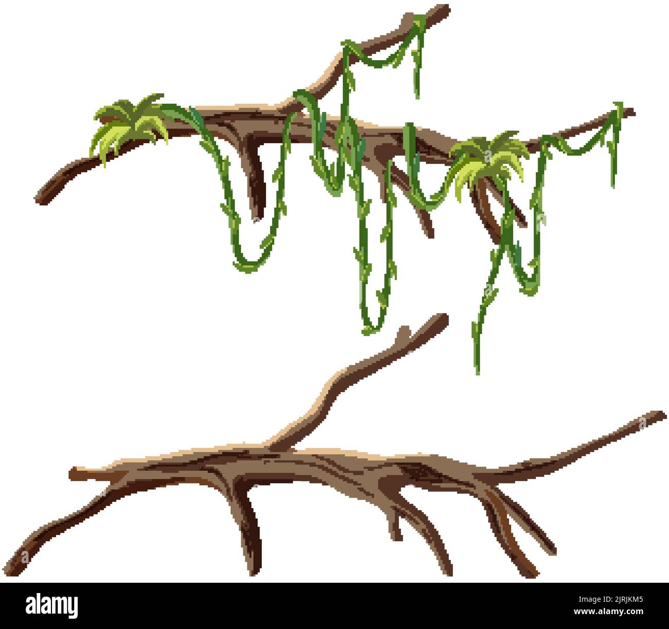 Tree branches with liana isolated illustration Stock Vector Image & Art ...