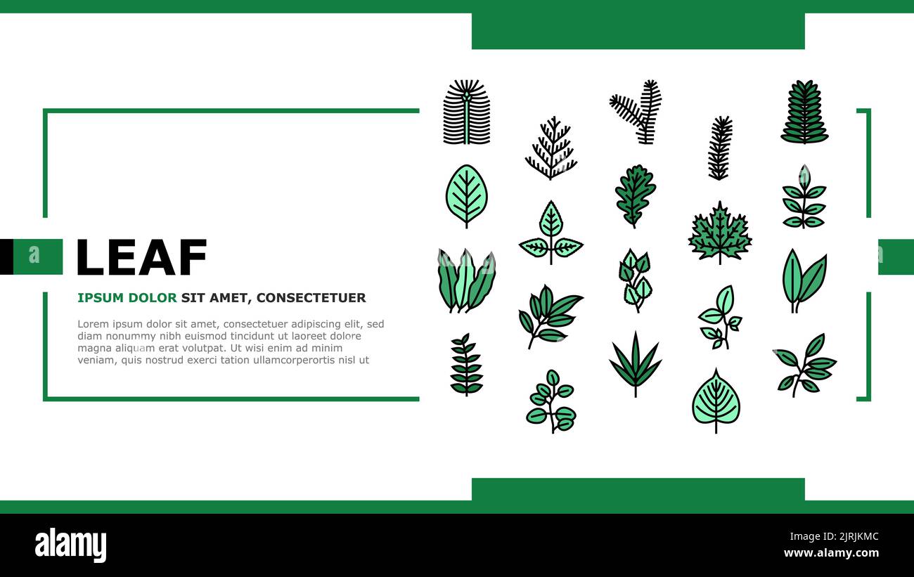 Leaf Of Tree, Bush Or Flower landing header vector Stock Vector Image ...