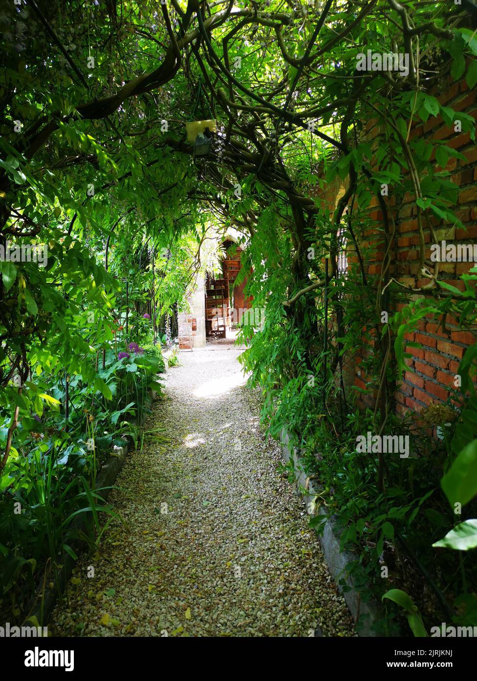 Plants vine hi-res stock photography and images - Alamy