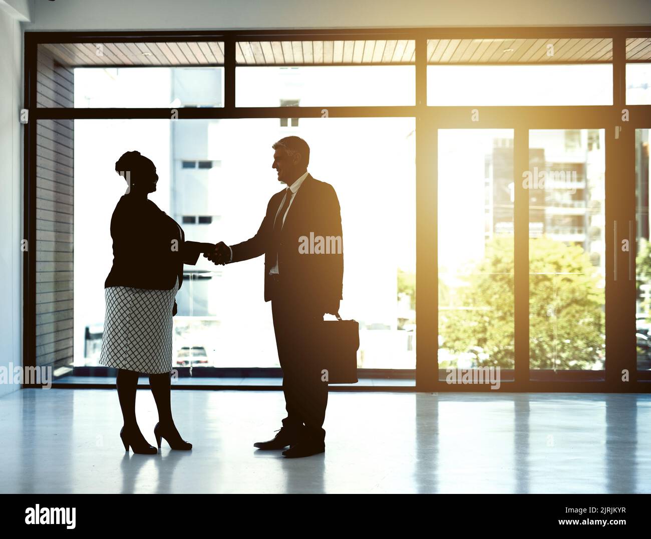 Working alongside the best. two businesspeople shaking hands in an ...