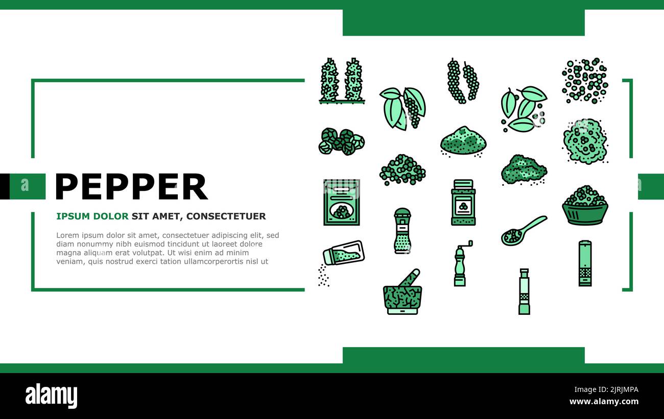 Black Pepper Aromatic Hot Spice landing header vector Stock Vector ...