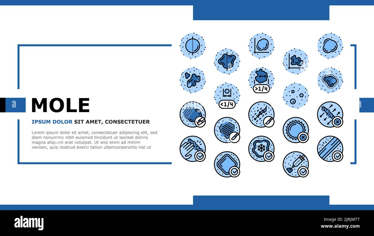 Mole Skin Problem And Disease Landing Header Vector Stock Vector Image