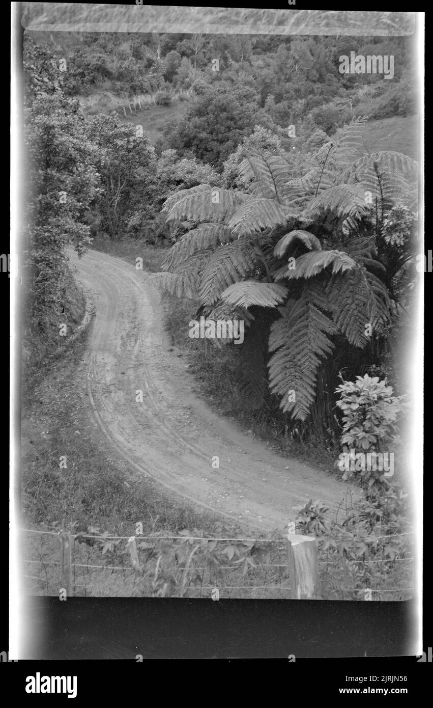[Countryside road], 1920s to 1930s, by Roland Searle Stock Photo - Alamy