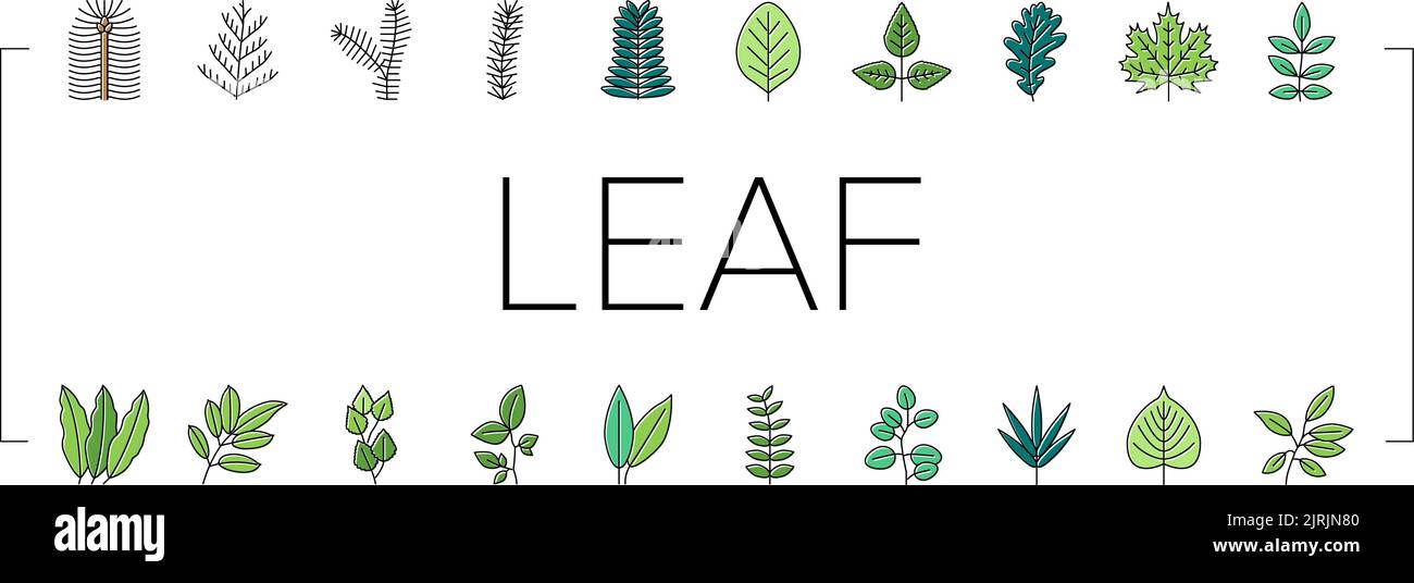 Leaf Of Tree, Bush Or Flower Icons Set Vector Stock Vector Image & Art ...
