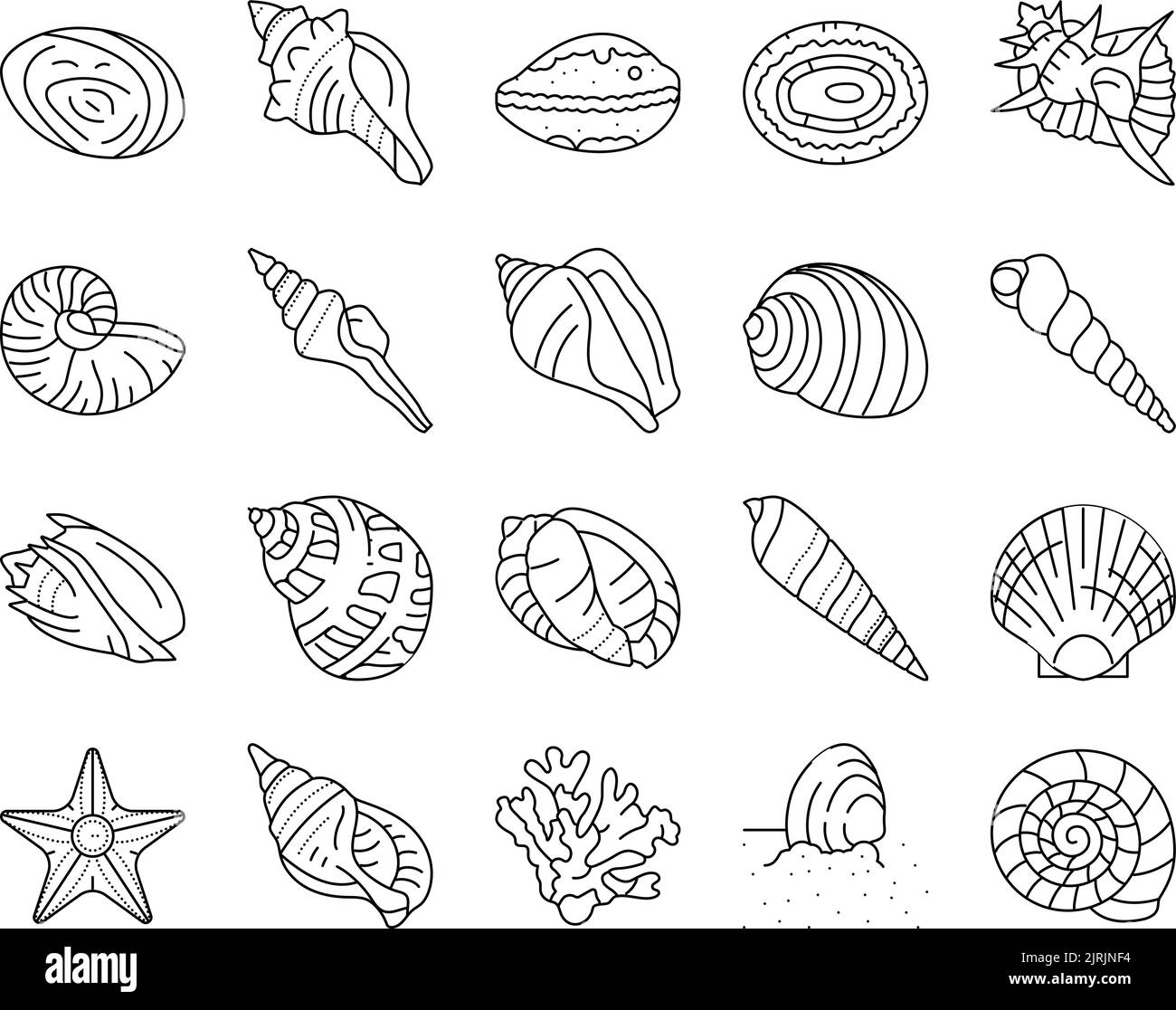 sea shell beach summer ocean icons set vector Stock Vector Image & Art ...