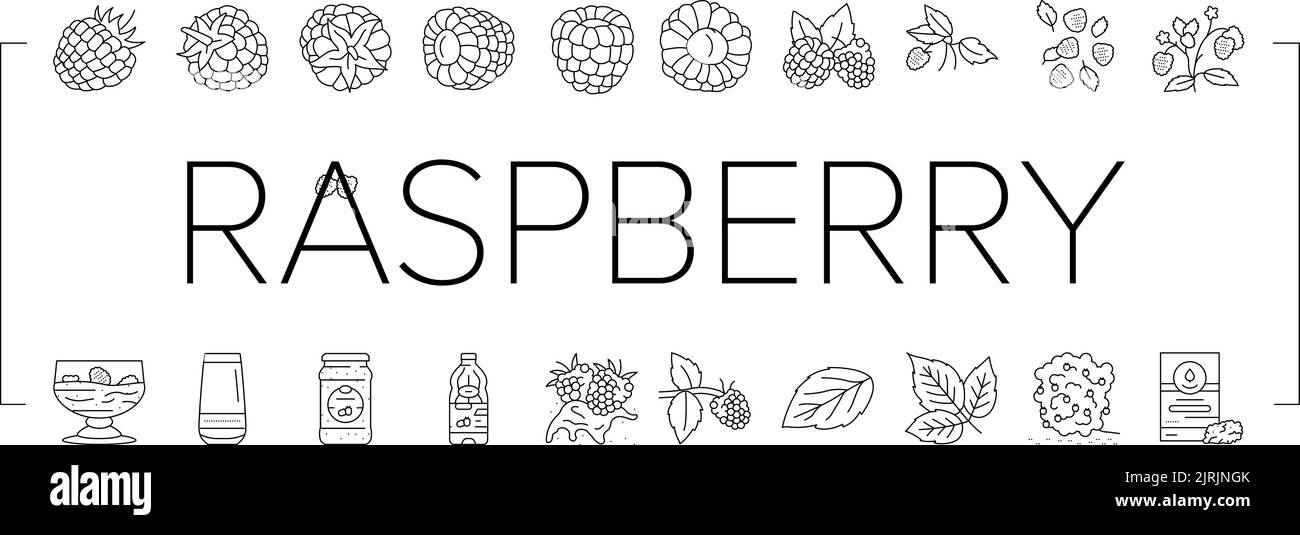 raspberry fruit berry red food icons set vector Stock Vector Image ...
