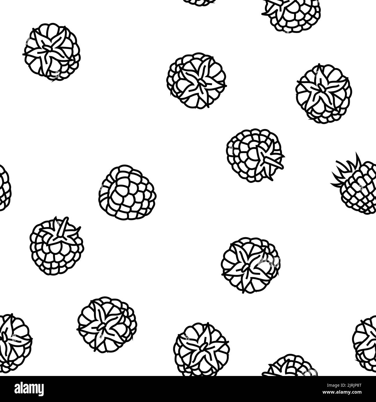 raspberry fruit berry red food vector seamless pattern Stock Vector ...
