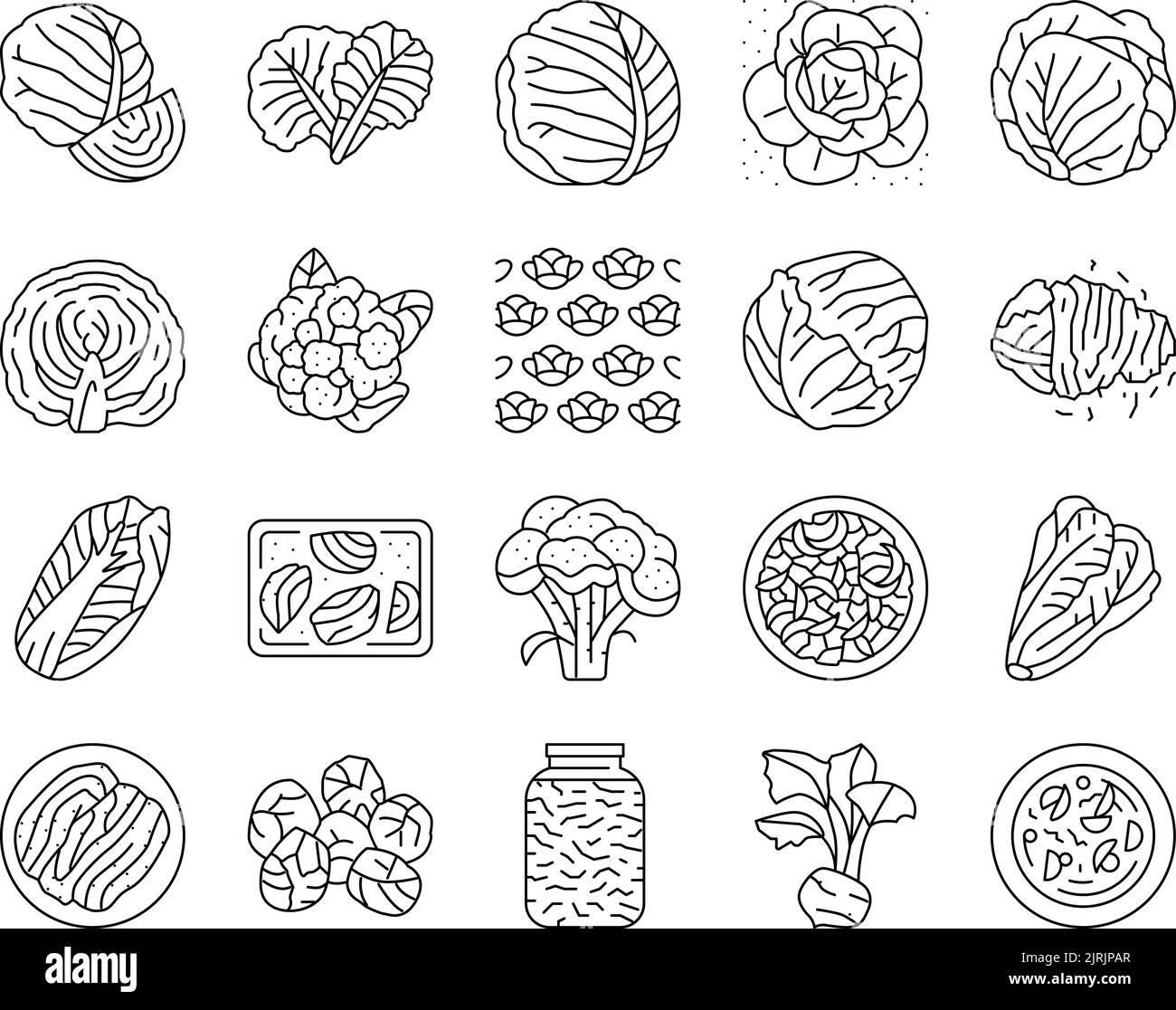 Cabbage icons Black and White Stock Photos & Images - Alamy