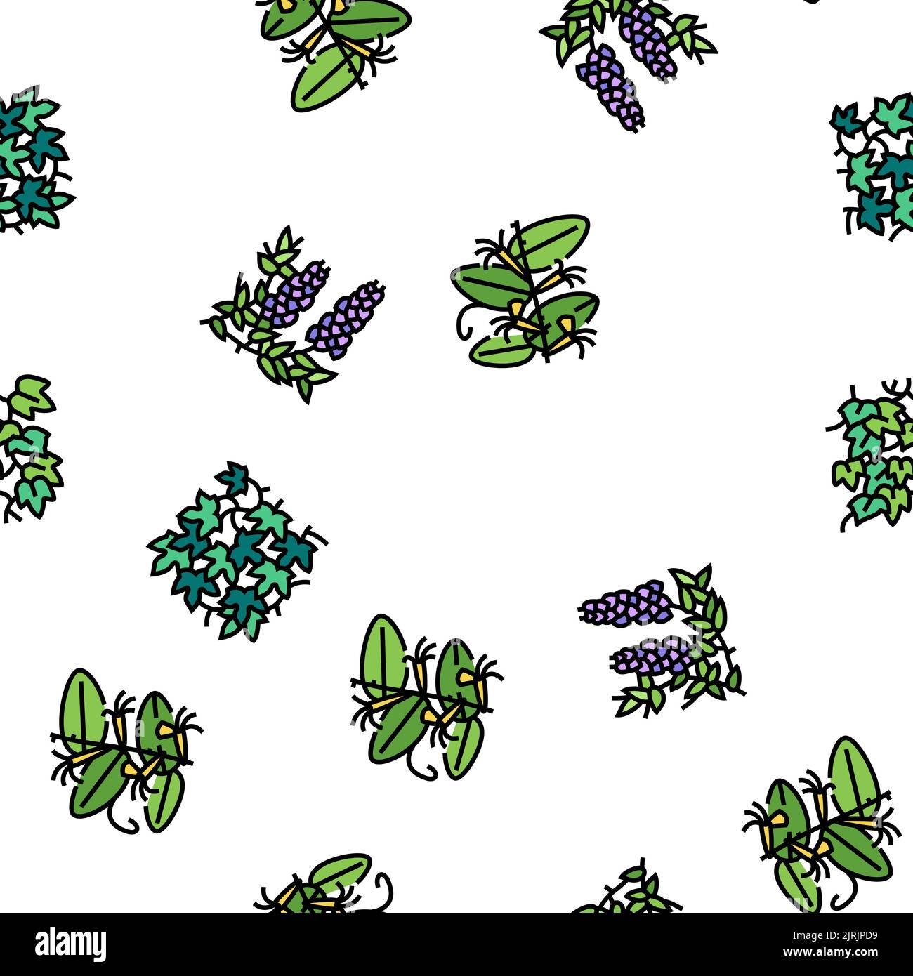 Vine Liana Exotic Growing Plant vector seamless pattern Stock Vector ...