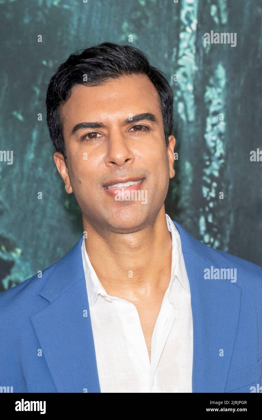 NEW YORK, NEW YORK - AUGUST 23: Soman Chainani attends "The Lord Of The ...