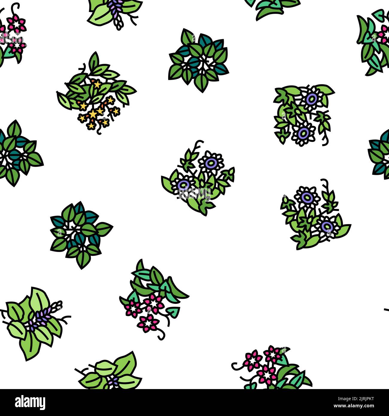 Poison ivy vine Cut Out Stock Images & Pictures - Alamy