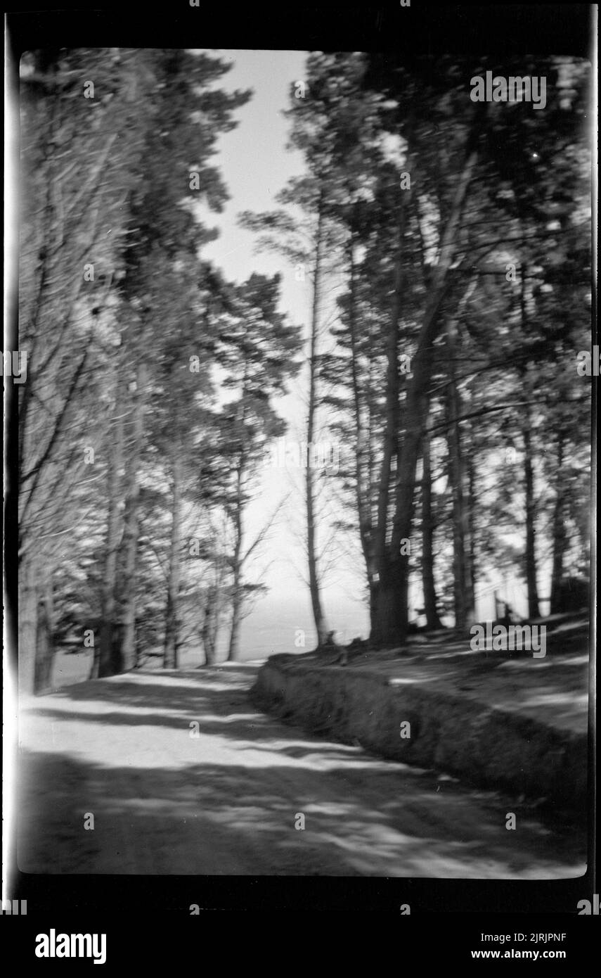 [Christchurch park], 1920s-1930s, Christchurch, by Roland Searle Stock Photo - Alamy