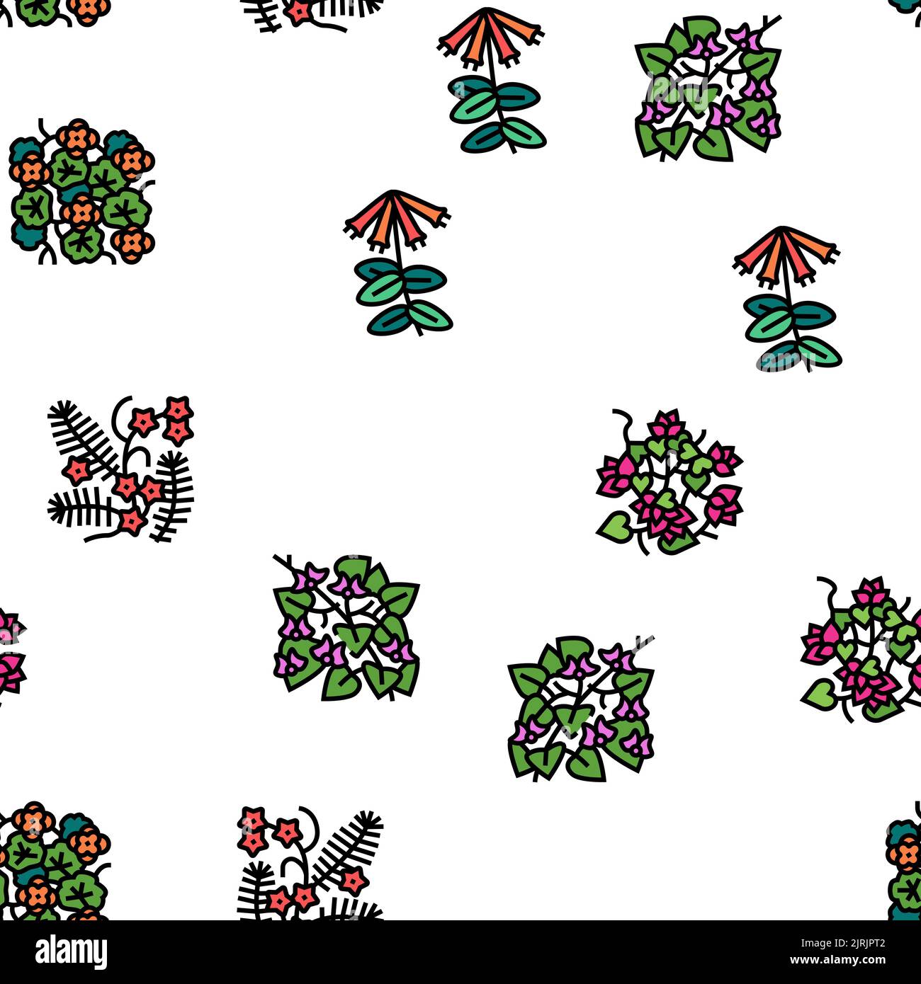 Vine Liana Exotic Growing Plant vector seamless pattern Stock Vector ...