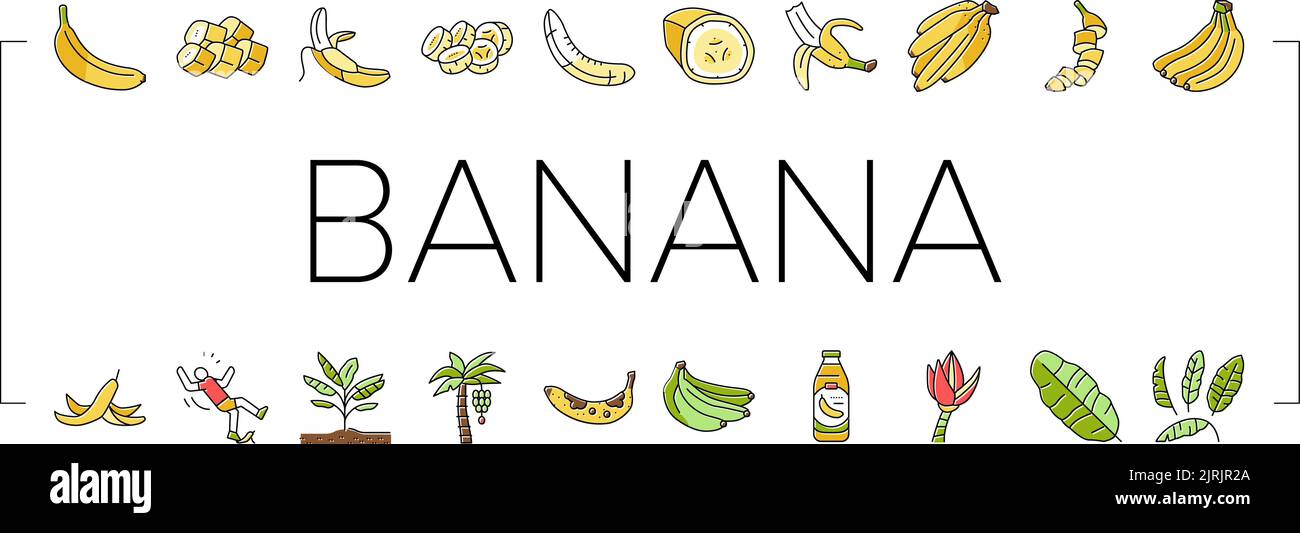 banana fruit food yellow white icons set vector Stock Vector Image ...