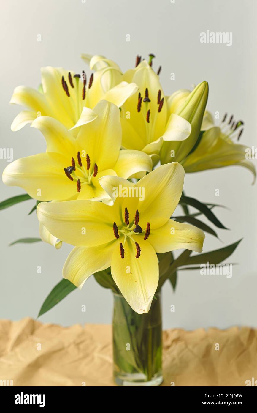 Yellow Lilly bouquet in a vase on white background Stock Photo - Alamy
