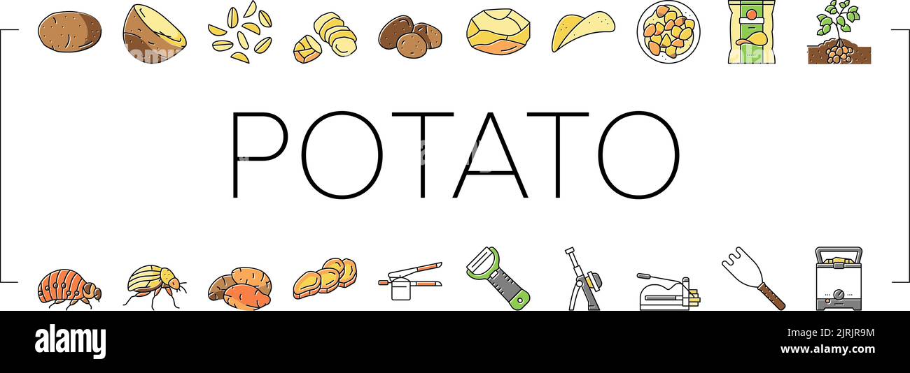 Potato field top view Stock Vector Images - Alamy