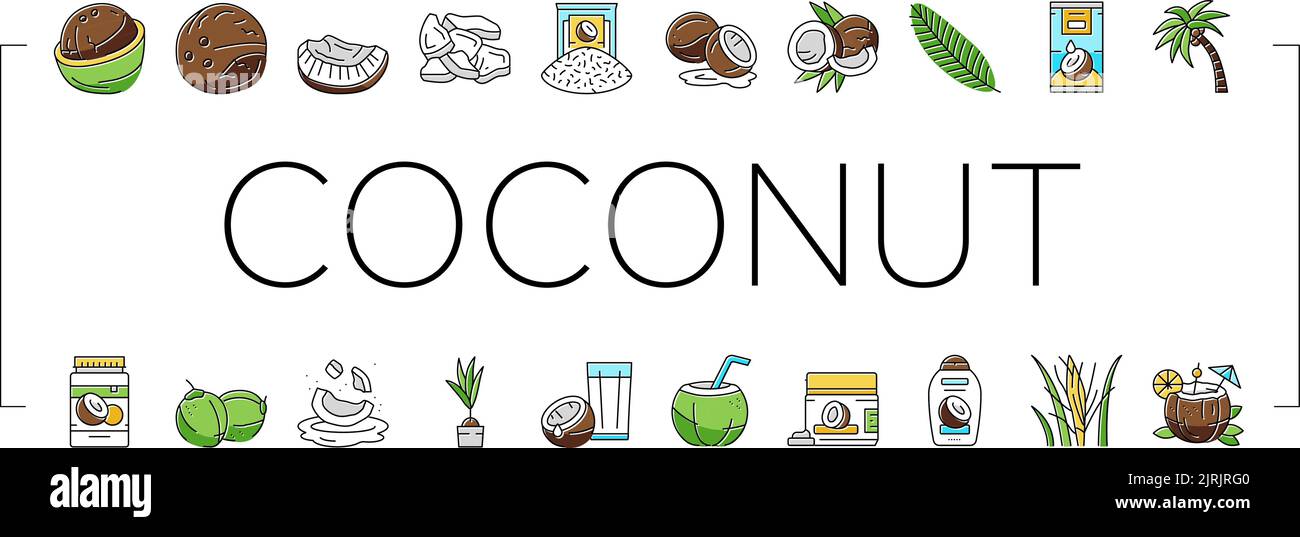 coconut coco fruit fresh white icons set vector Stock Vector Image ...