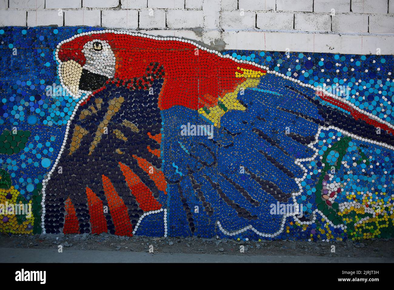 Guatire, Venezuela. 21st Aug, 2022. A parrot is already finished, on a ...
