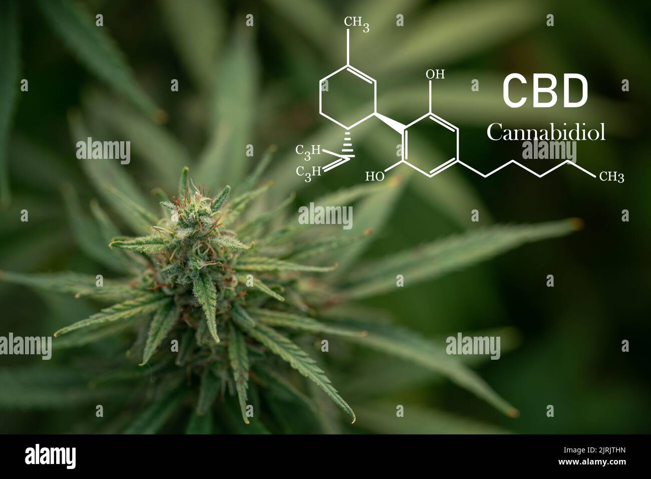 Formule a hi-res stock photography and images - Alamy