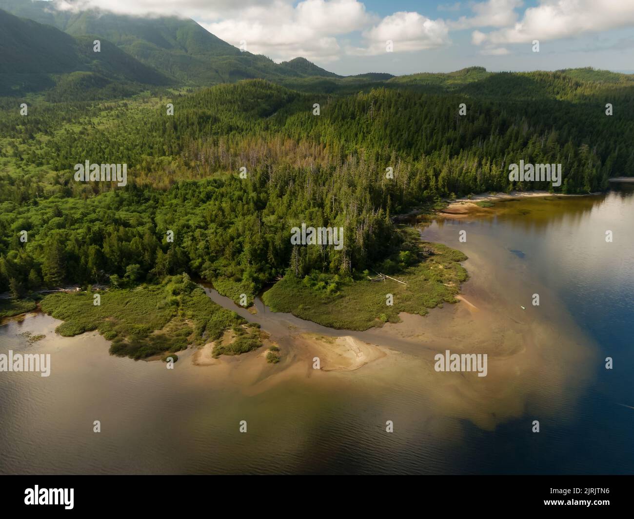 Sandy beach on the lake with green trees. Canadian Nature Background ...