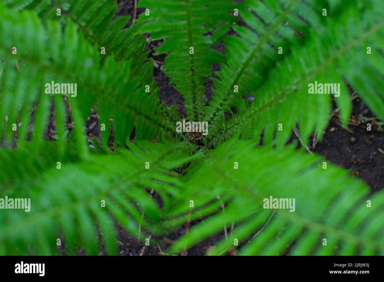 Meditation photo frame hi-res stock photography and images - Alamy