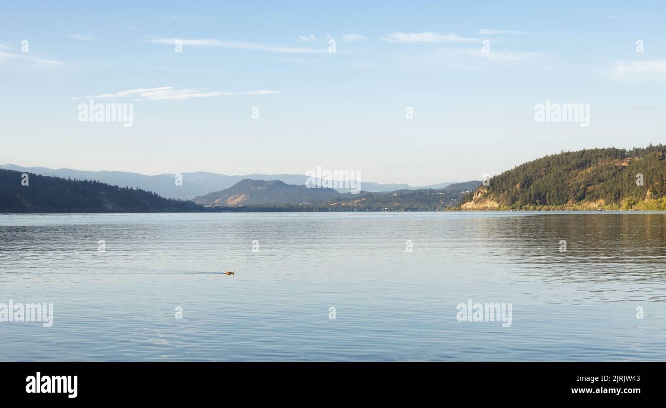 Peaceful View of Wood Lake with Reflection on the water and mountains ...