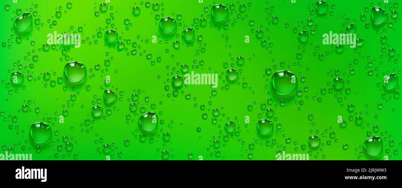 Condensation water drops on green background. Rain droplets with light ...