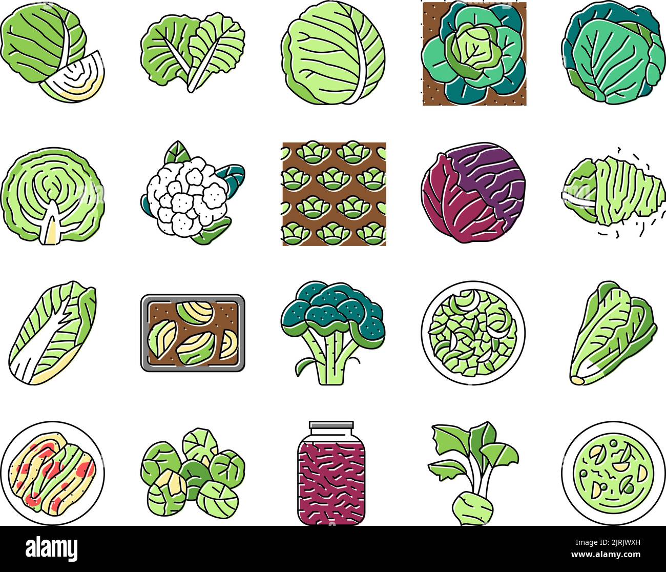 Cabbage Natural Vitamin Food Icons Set Vector Stock Vector Image & Art ...