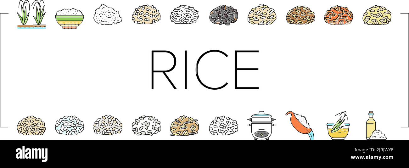 Rice For Preparing Delicious Food Icons Set Vector Stock Vector Image ...