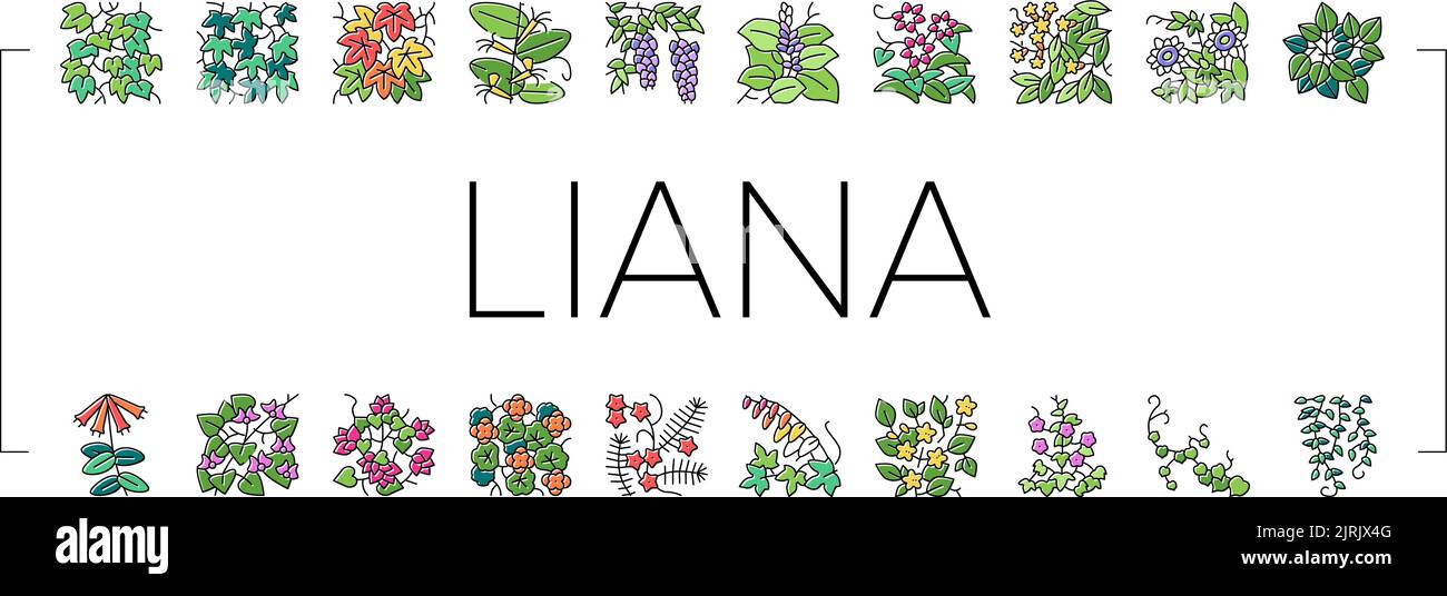 Vine Liana Exotic Growing Plant Icons Set Vector Stock Vector Image ...