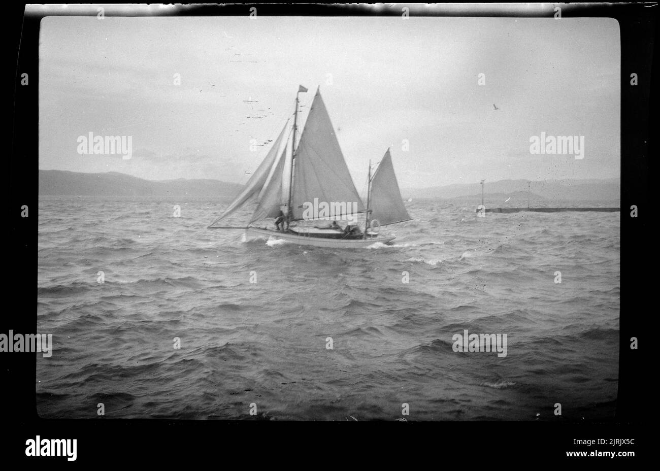 Yacht, Wellington harbour, 1920s to 1930s, by Roland Searle Stock Photo ...