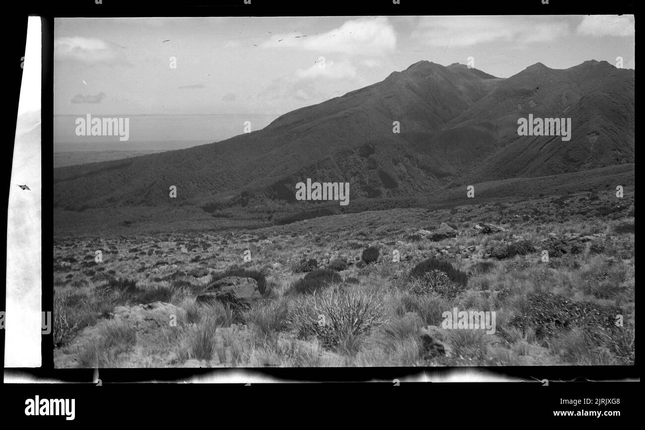Alpine landscape, 15 December 1935, New Plymouth, by William Oakley. F ...