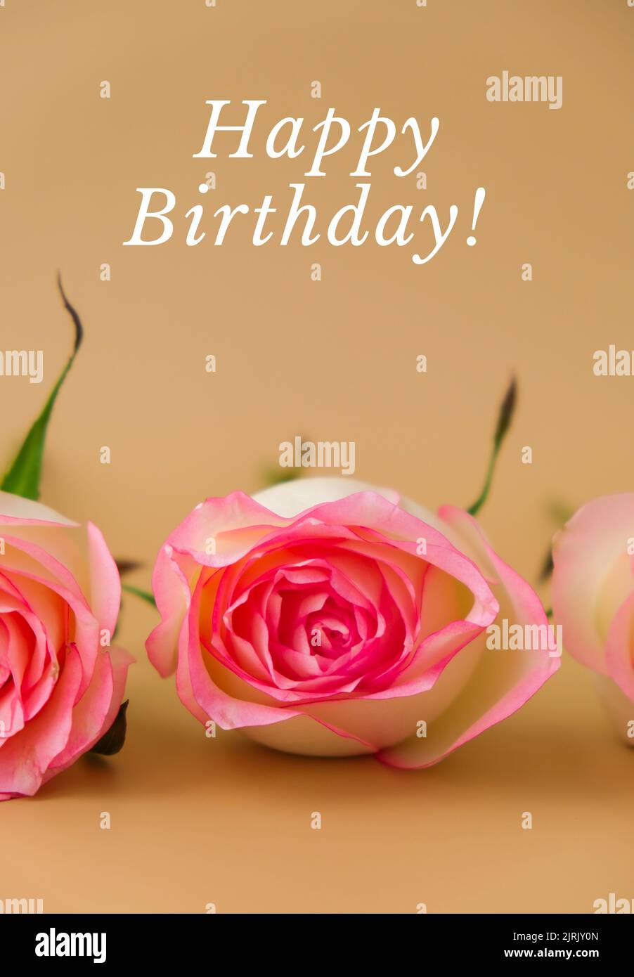 HAPPY BIRTHDAY text Delicate pink roses on beige background. Minimal ...