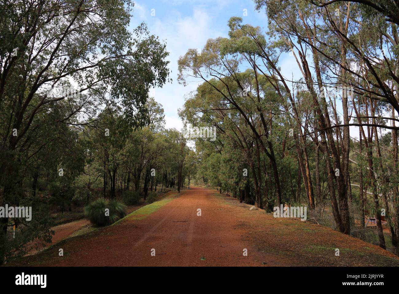 Railway Reserve Heritage Trail Cycle Path Running Through John Forest ...