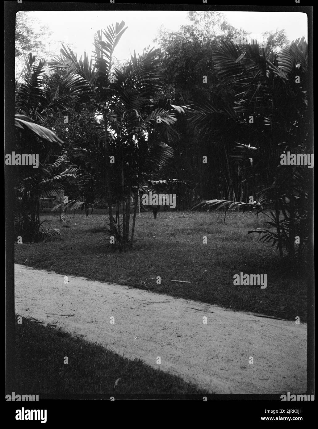 Colombo colonial buildings Black and White Stock Photos & Images - Alamy